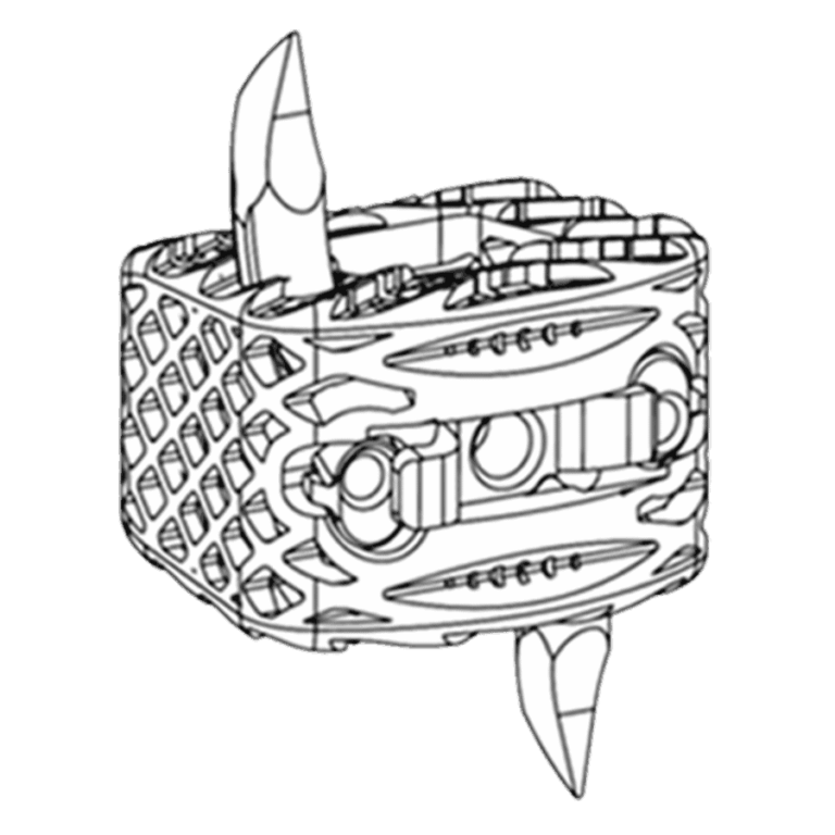 AIS-C 3D Printed Cervical Standalone System with SemaFour® Technology ...